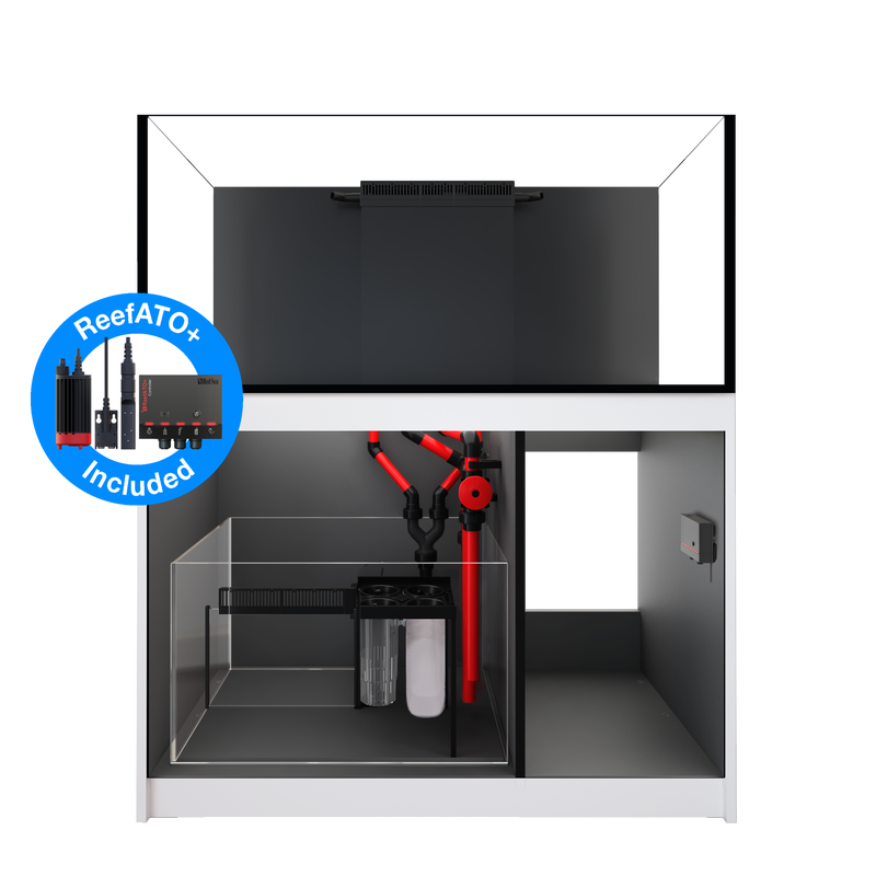 Red Sea REEFER 350 G3 Aquarium (72 Gallon Display) – Candy Corals