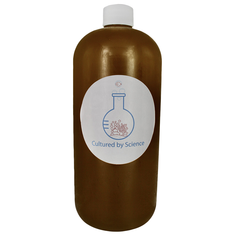 Cultured by Science Live Gold Motile Phytoplankton – Candy Corals