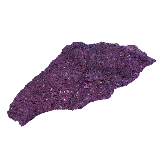 Real Reef Rock - Shelf 45lb Box – Candy Corals